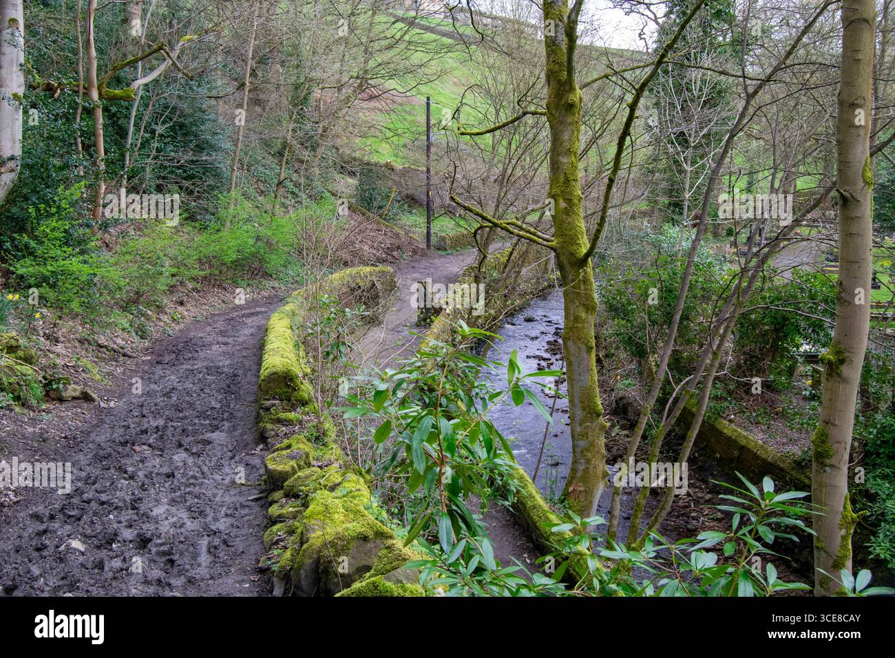 Peaceful babbling brook alongside nature hi-res stock photography and ...