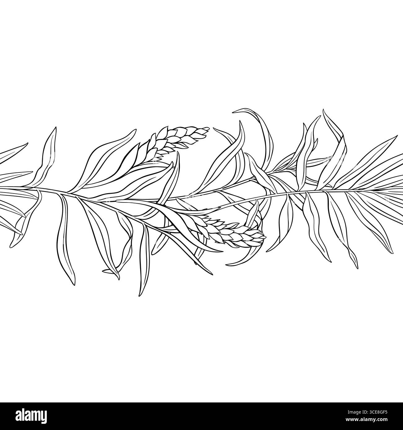 Ginger Outline Horizontal Seamless Pattern Stock Vector Image & Art - Alamy