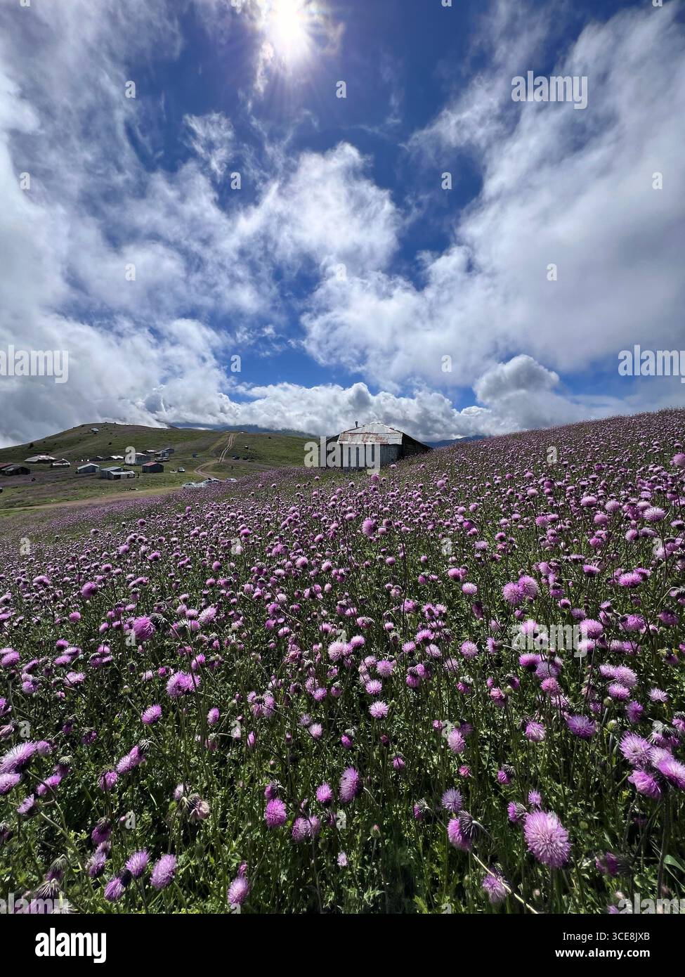 Eco tourism iran hi-res stock photography and images - Alamy