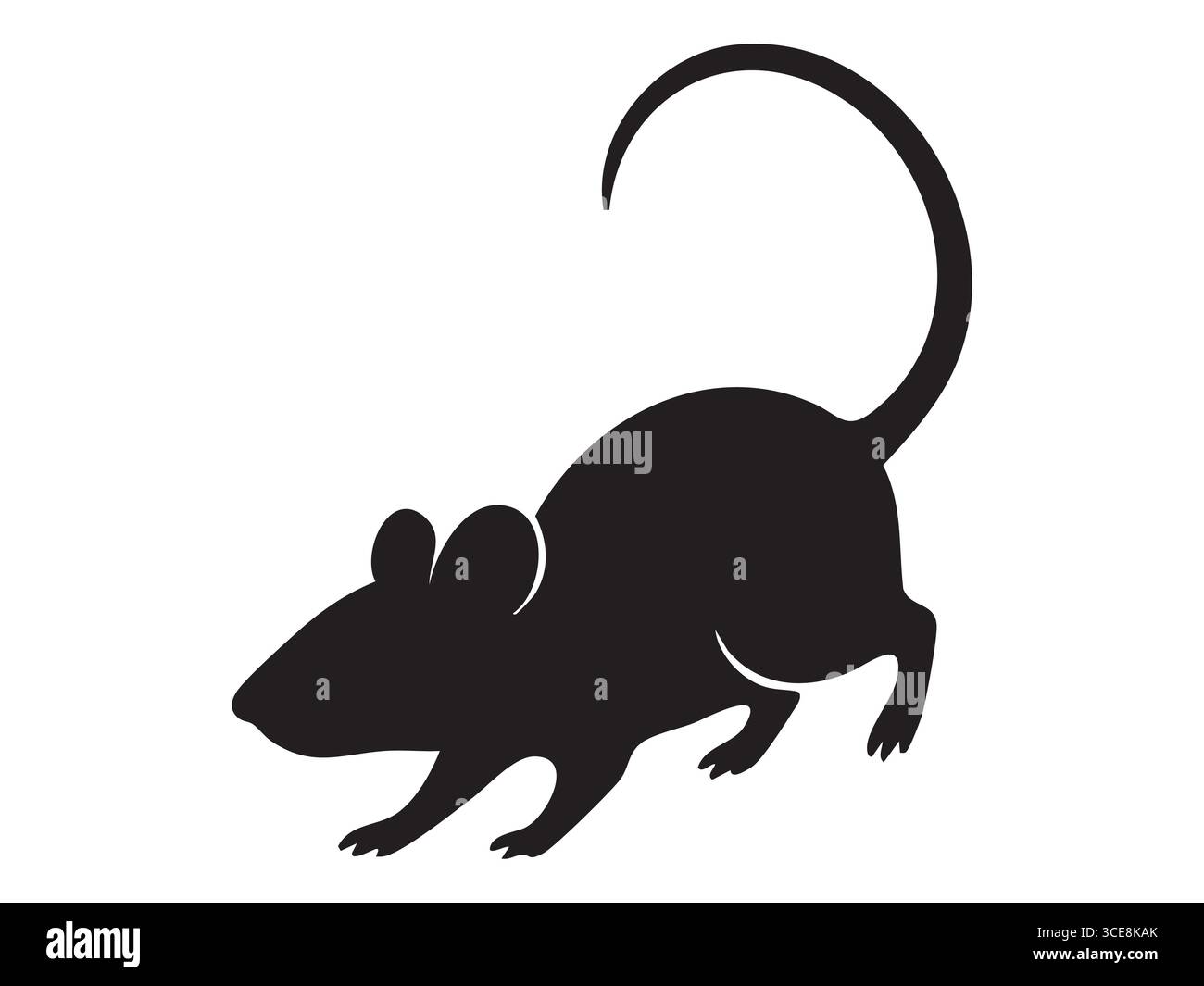 Species of rodent in Cut Out Stock Images & Pictures - Alamy
