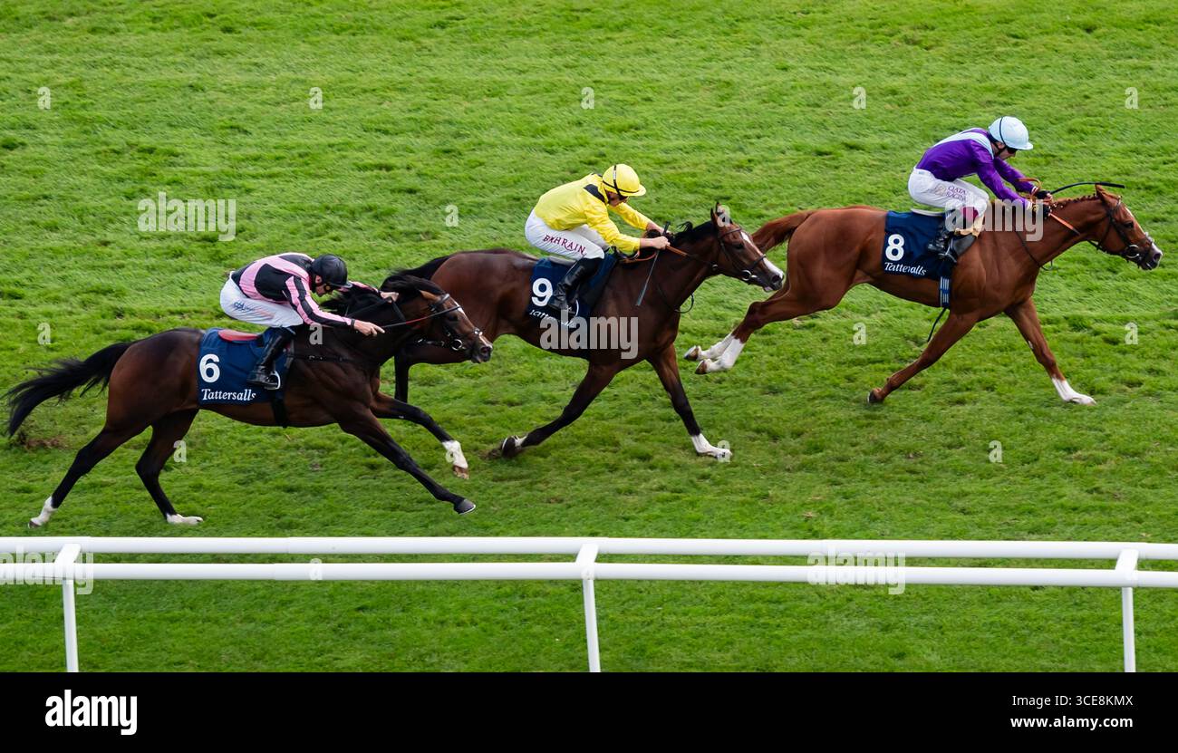 Newbury, Berkshire, Saturday 16th August 2025; Venetian Prince and ...