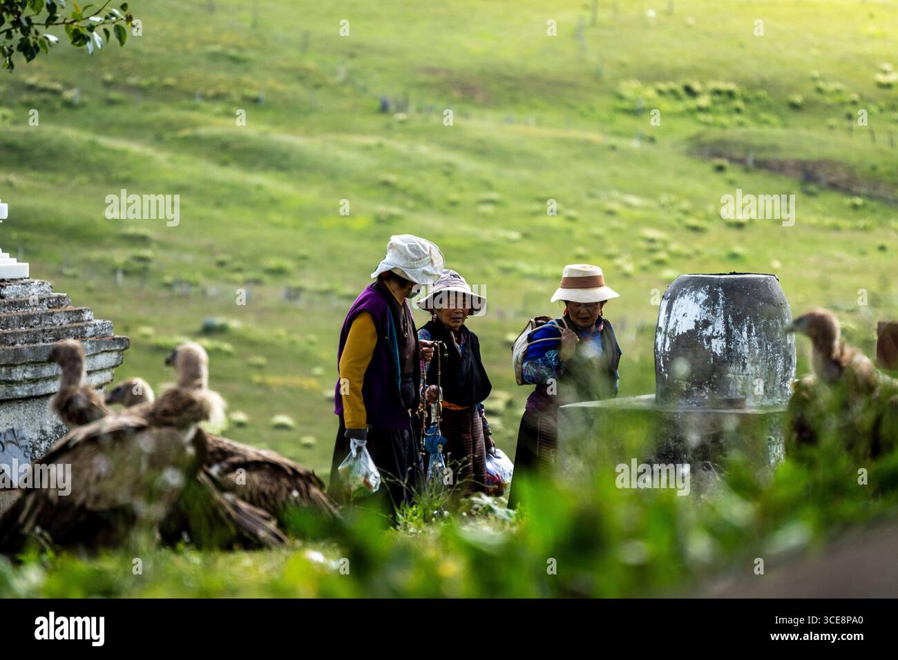 Vultures devouring a person hi-res stock photography and images - Alamy