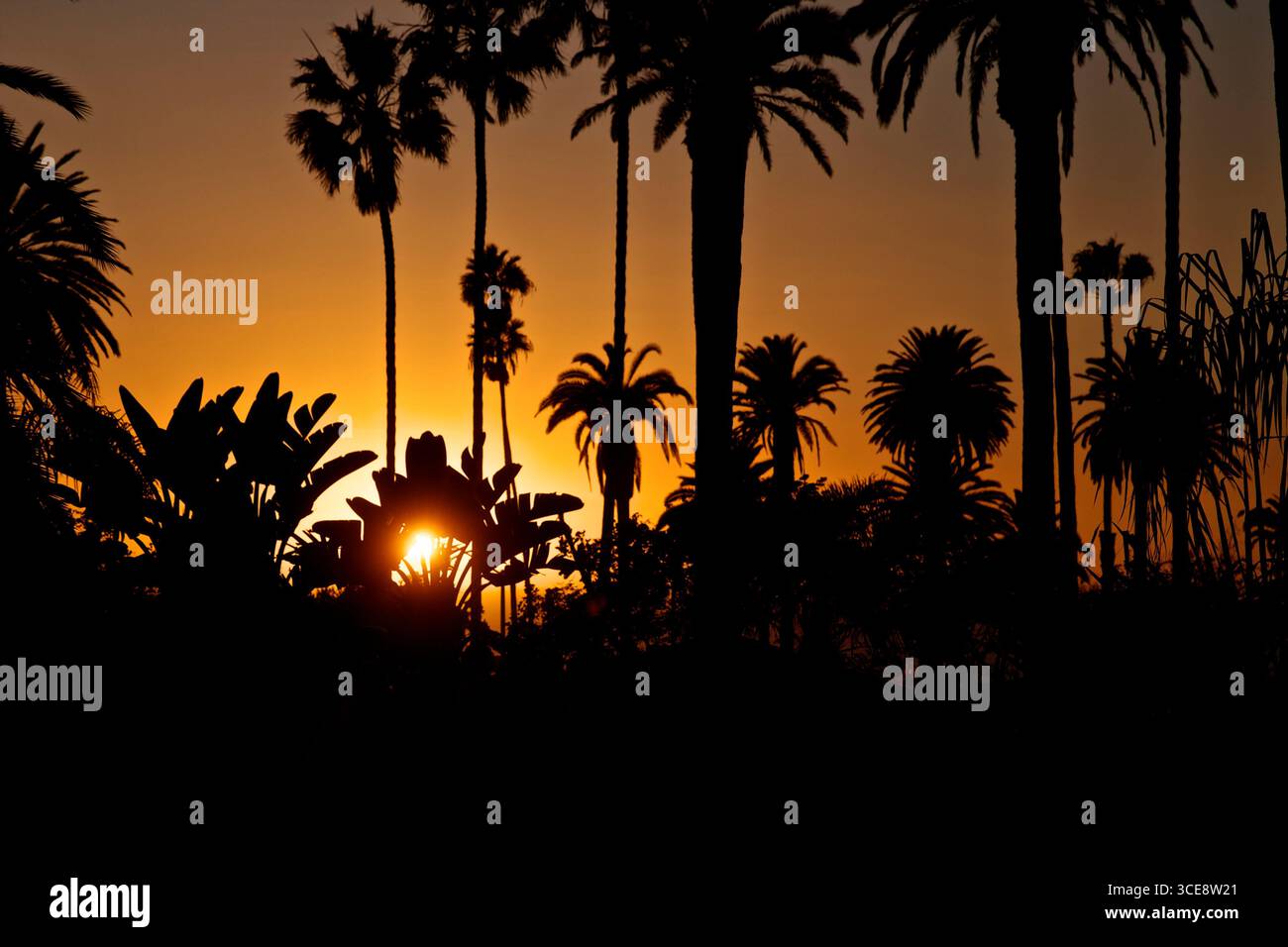 Sunset beach in southern hi-res stock photography and images - Alamy
