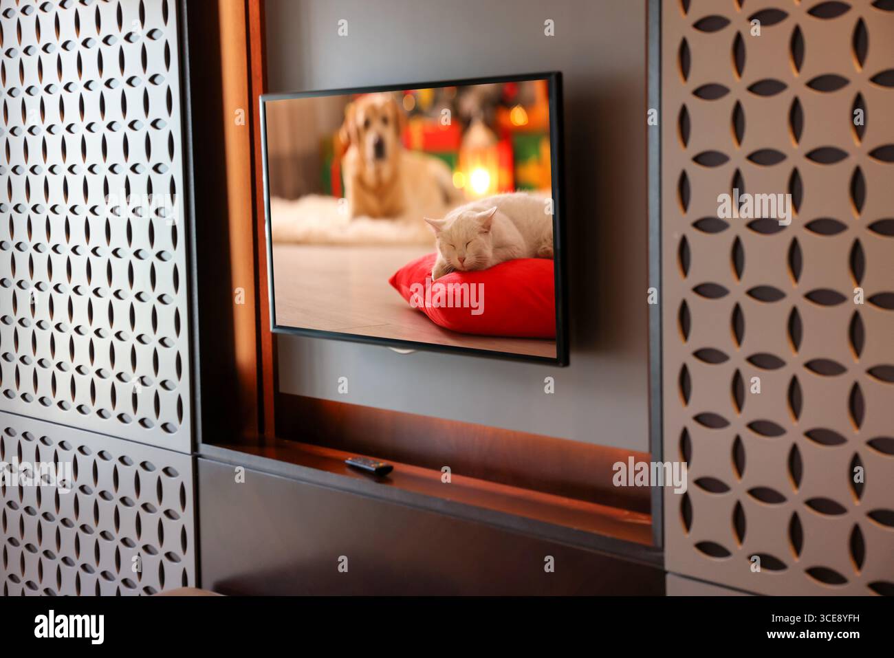 TV set with cat and dog on screen in room Stock Photo - Alamy