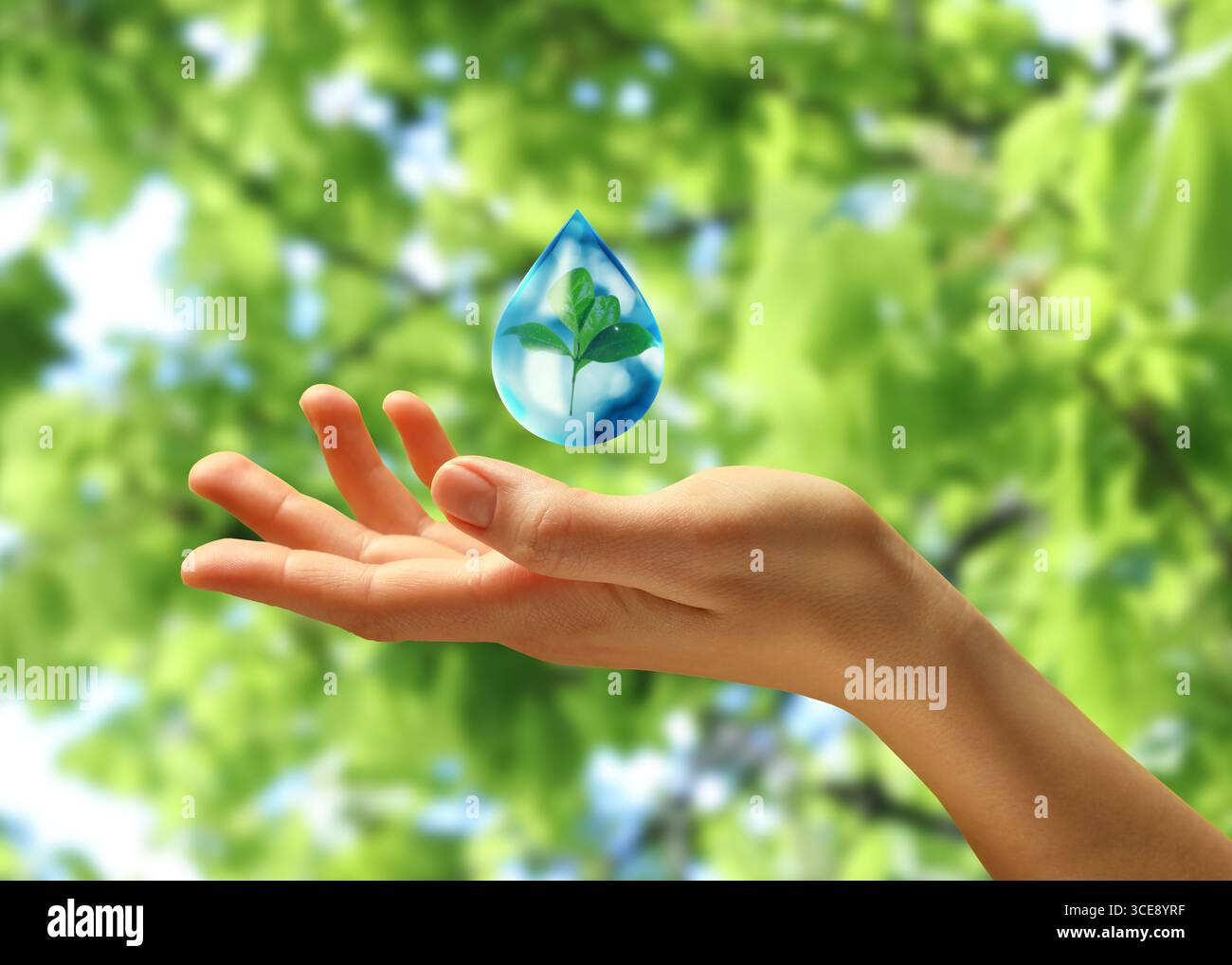 Water conservation. Drop with plant inside falling into woman's hand ...