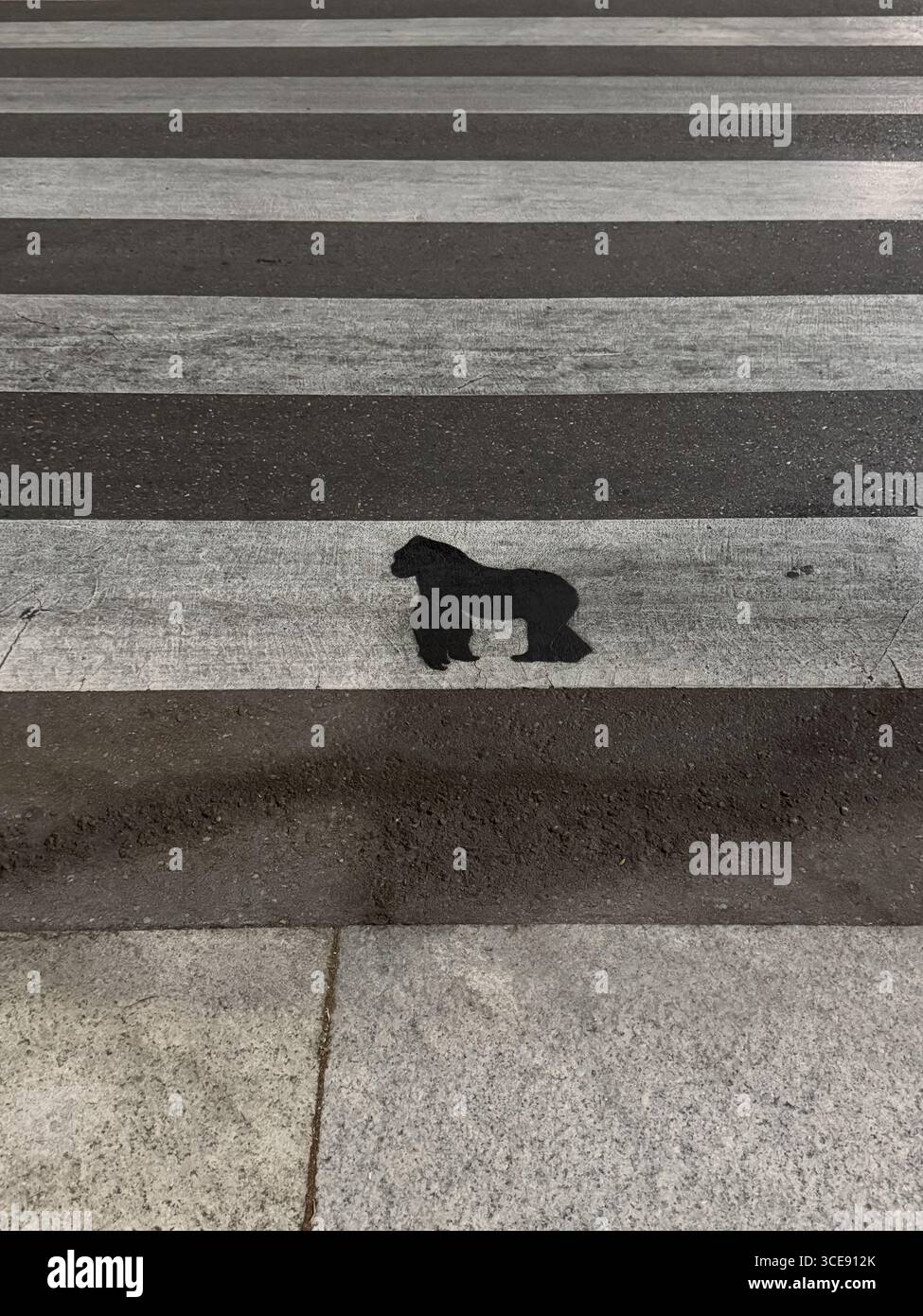 A black dog silhouette painted on a striped pedestrian crossing blends ...