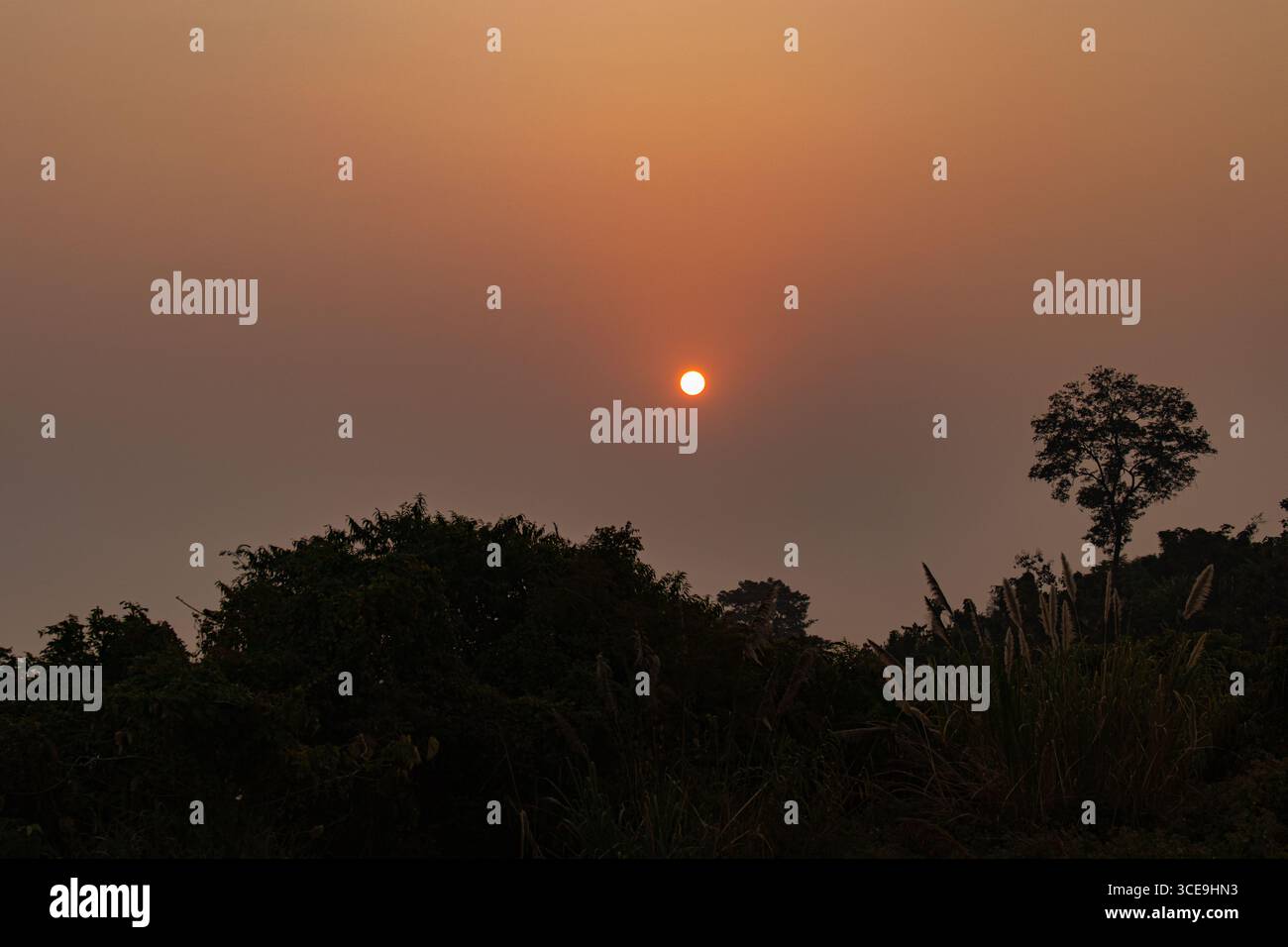 Green slopes mist sunrise hi-res stock photography and images - Alamy