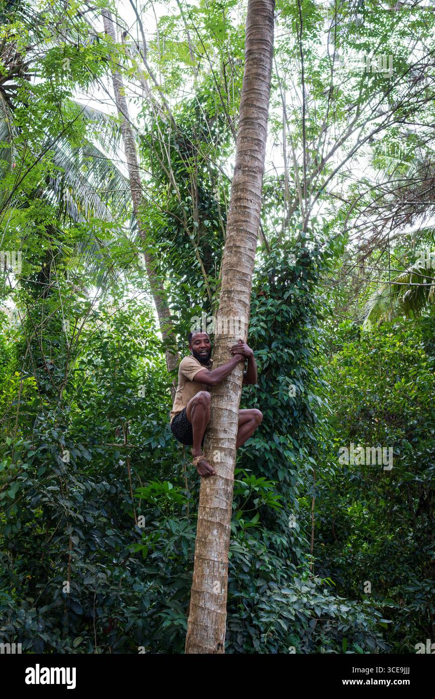 Masingini Forest, Zanzibar - July 30, 2025: Man with ankles bound by ...