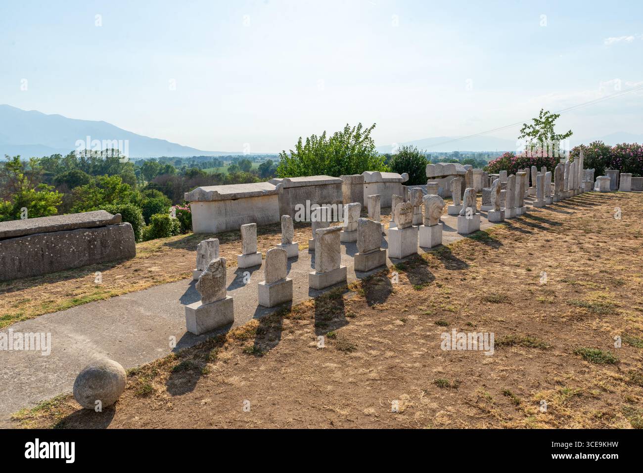 Row of ancient Greek and Roman stelae displayed on pedestals in the ...
