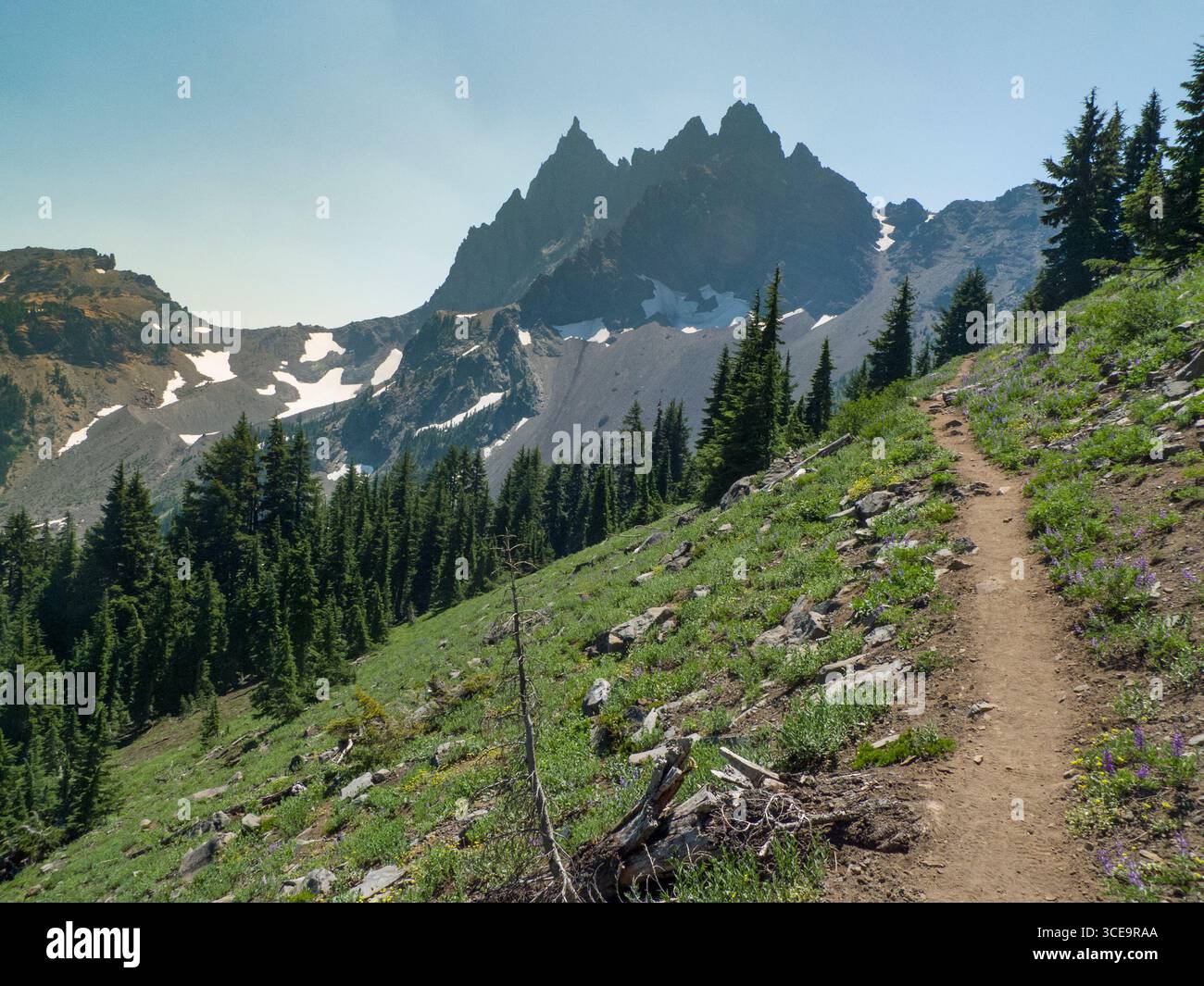 Three Finger Jack seen from the Pacific Crest Trail, Mount Jefferson ...
