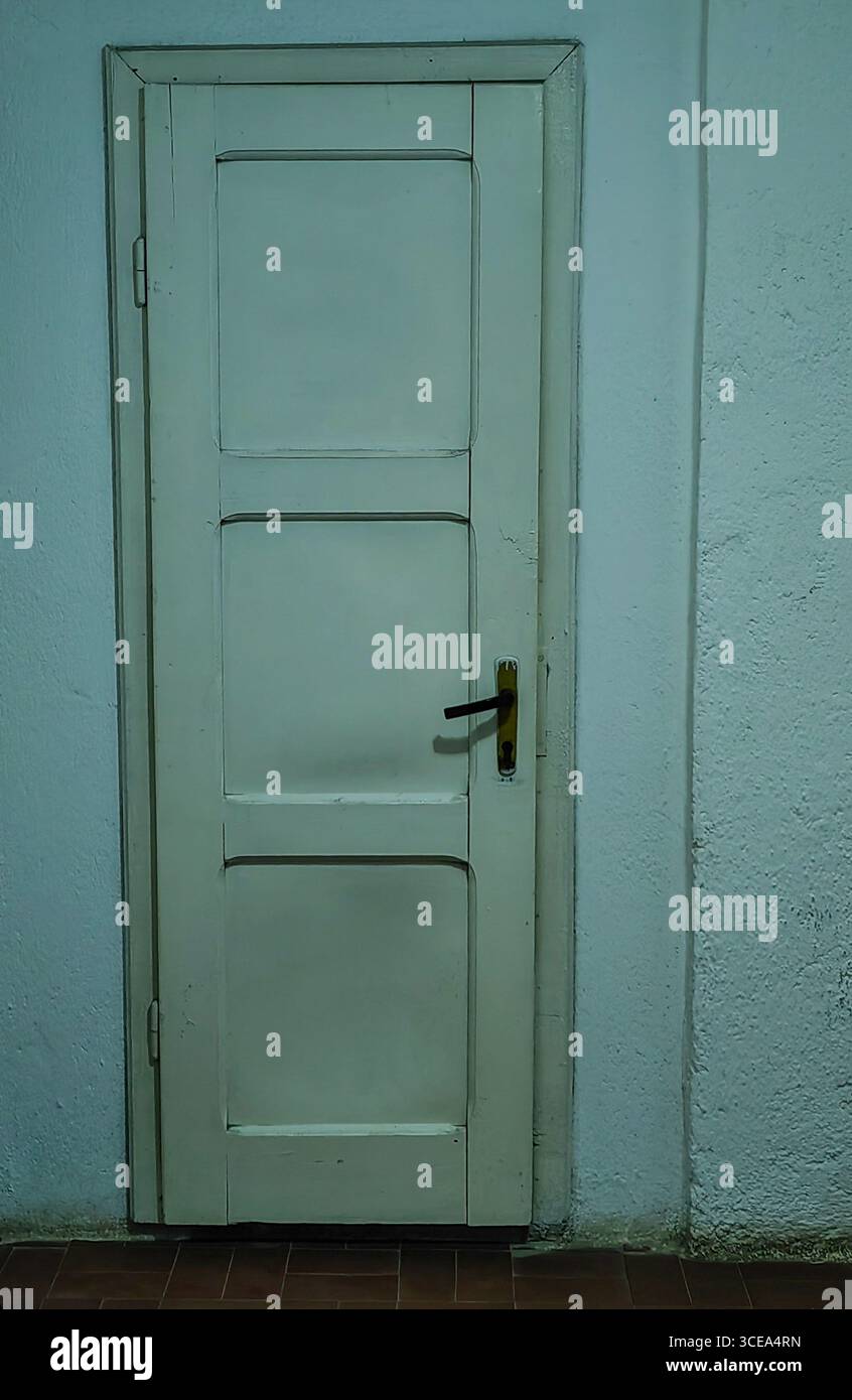 The Unrevealed Secret. Closed Wooden door Stock Photo - Alamy