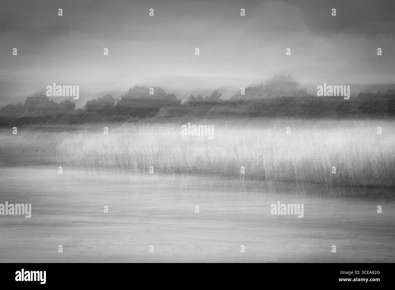 Ham Wall Nature reserve taken with Intentional Camera Movement Stock ...