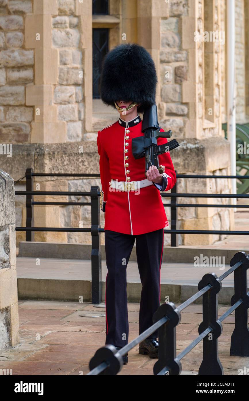Changing of the guard done by British solider from the Grenadier Guards ...
