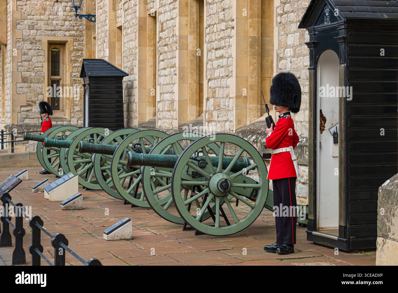 Changing of the guard done by British solider from the Grenadier Guards ...