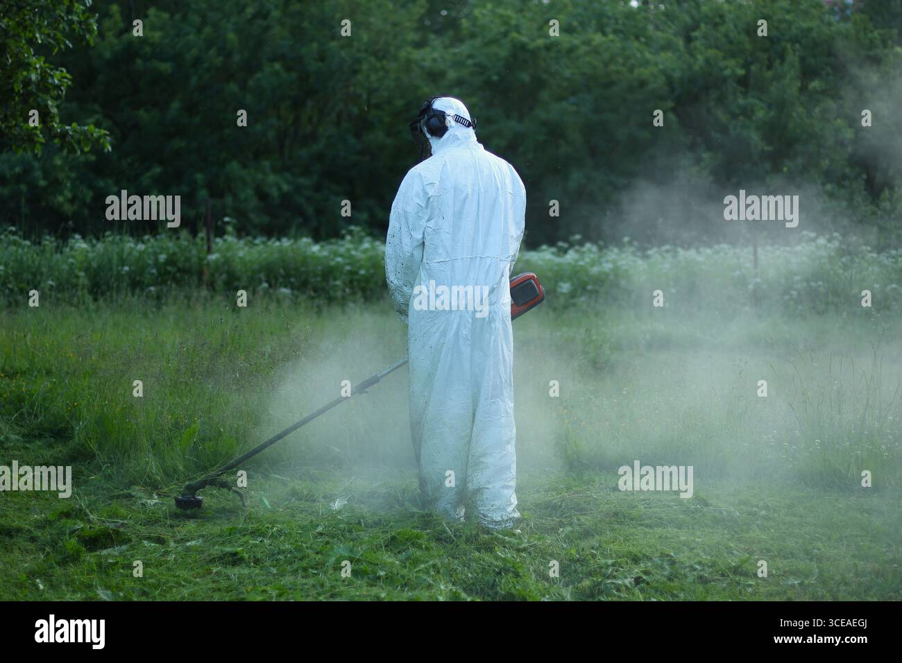 A man trims the lawn with a trimmer. Male person in white protective ...