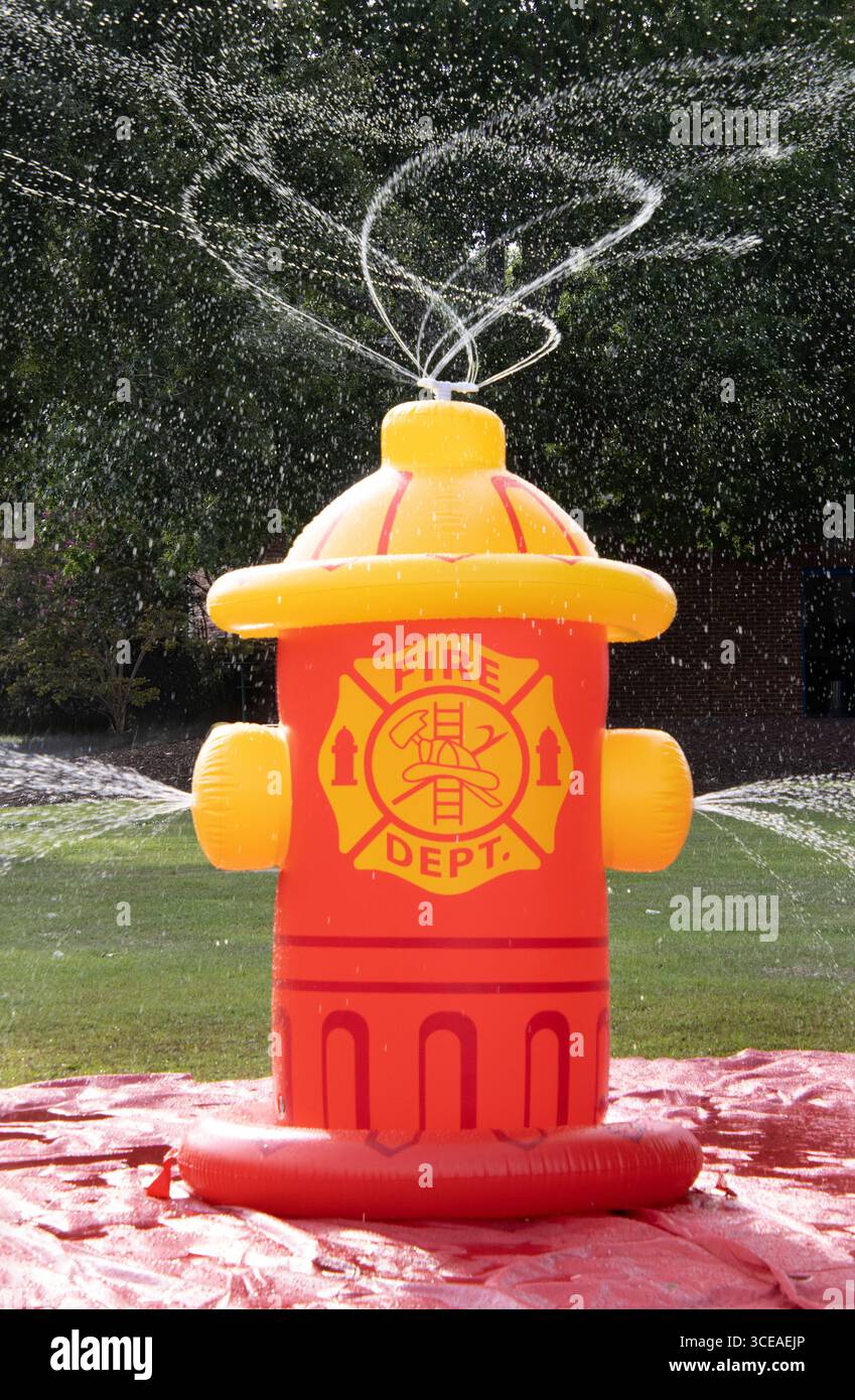 A Giand Fire Hydrant Water Sprinkle is being operated in Union Point ...