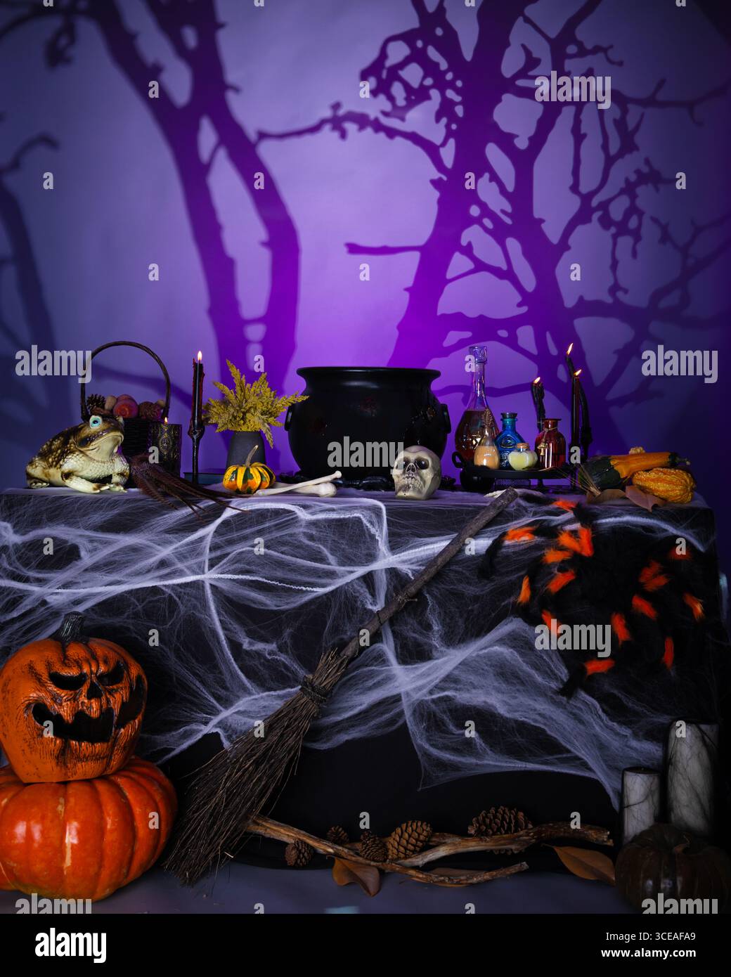 Broomstick hi-res stock photography and images - Alamy
