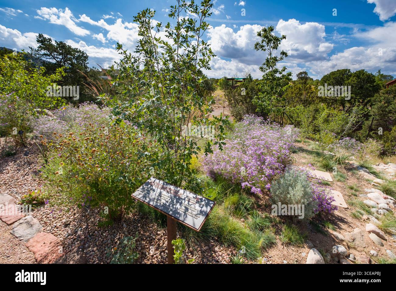 Ethnobotanical Garden, Ojos y Manos: Eyes and Hands area of the Santa ...