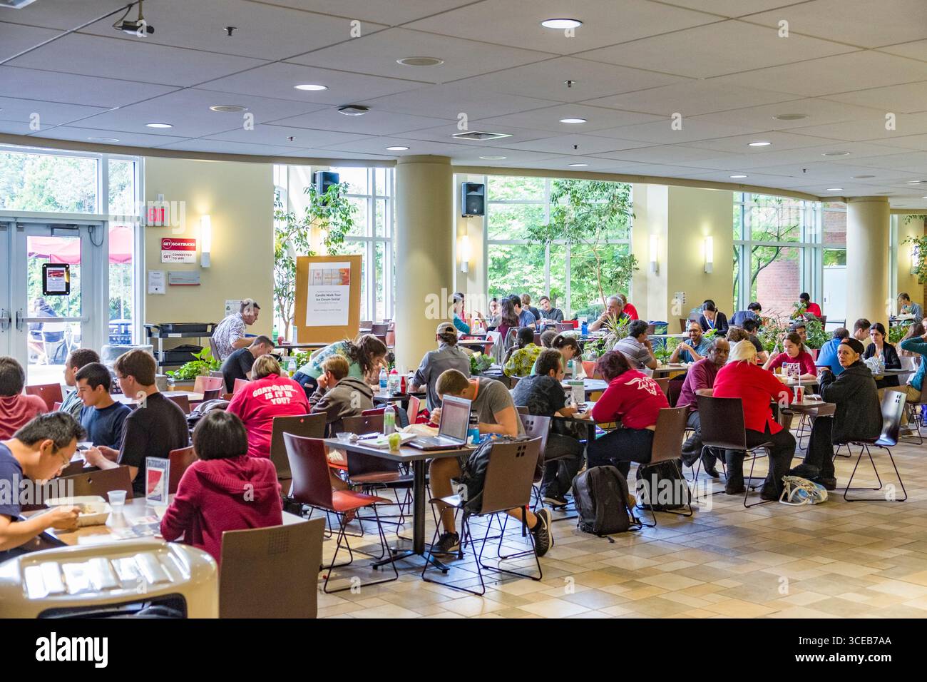 Students sitting at tables studying and eating lunch in the Rubin ...