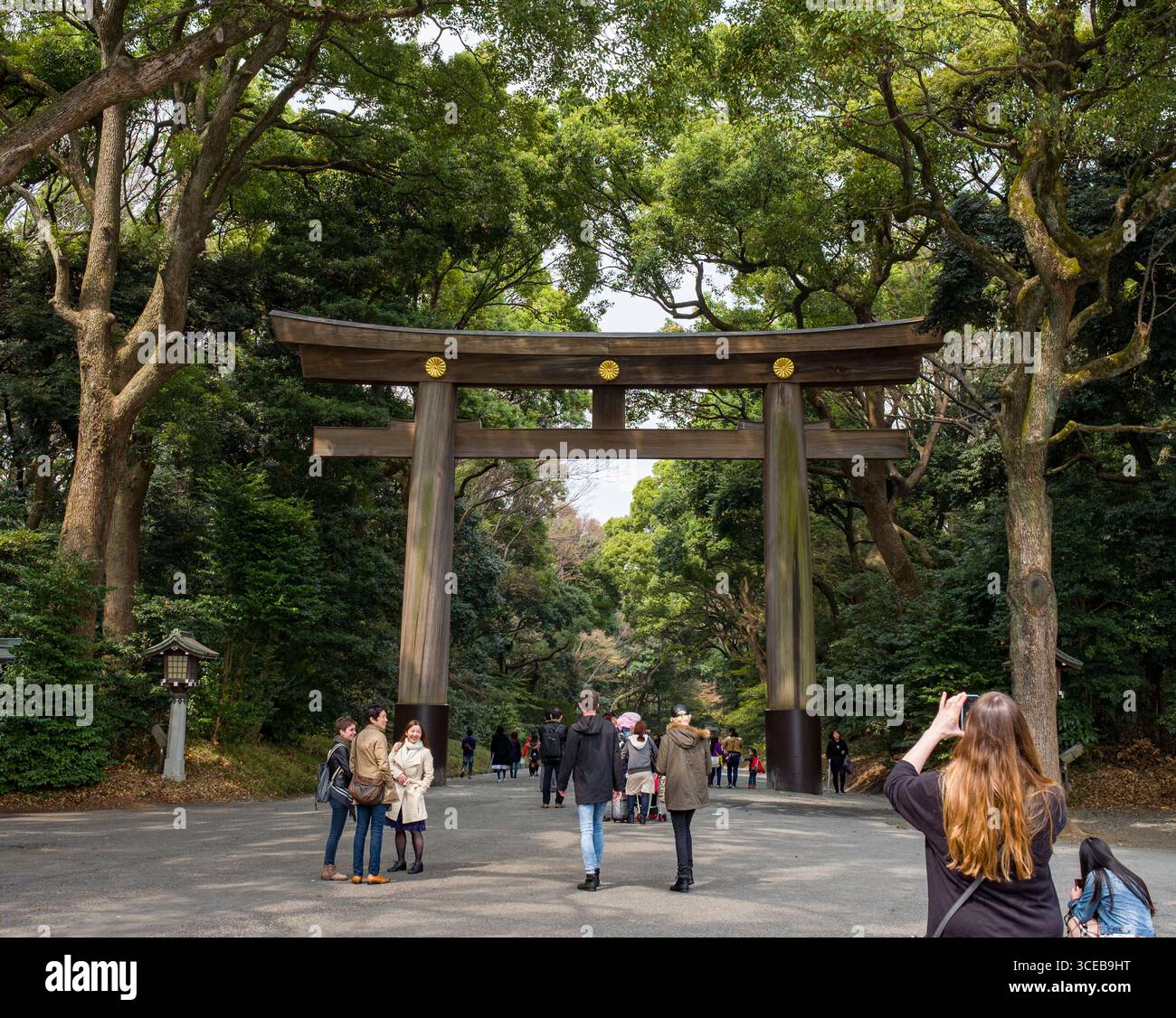 Torii traditional Japanese gate made from cypress at the entrance to ...