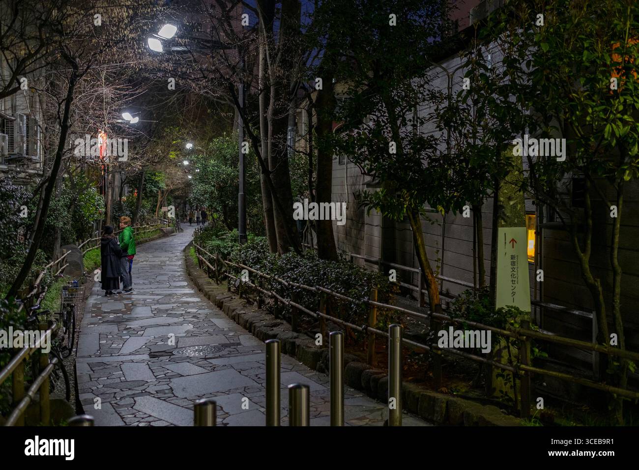 Pedestrian walkway night shinjuku hi-res stock photography and images ...