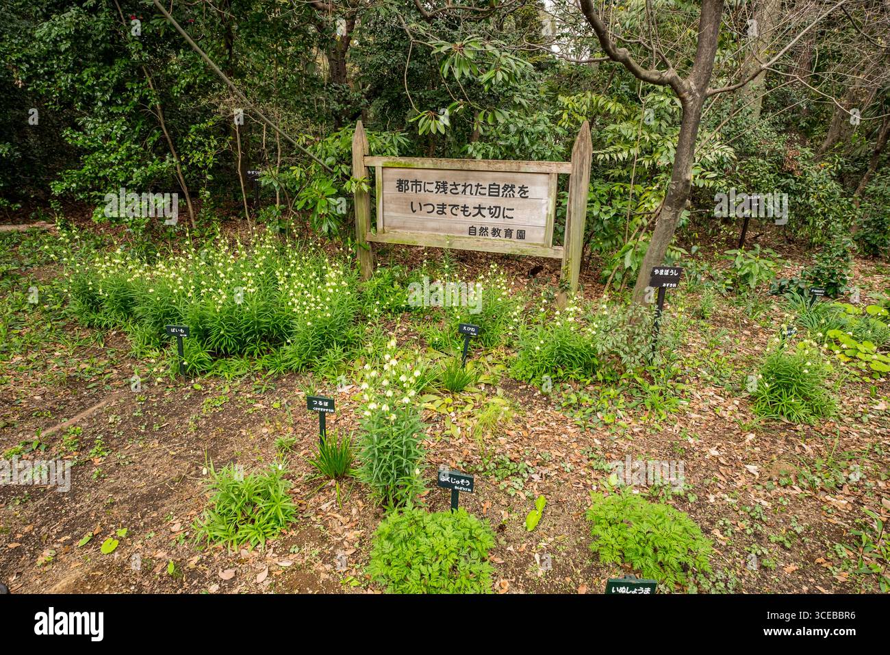 Signage with Japanese Kanji along walking paths in Institute for Nature ...