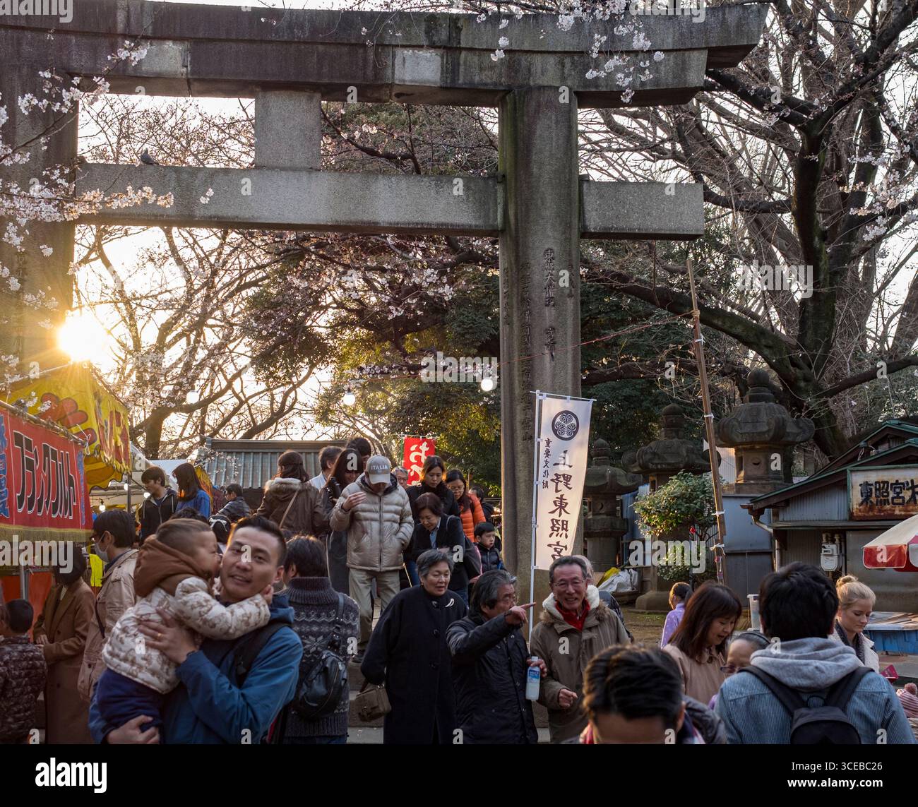 Stone Torii traditional Japanese gate entrance to Toshogu Shrine, Ueno ...