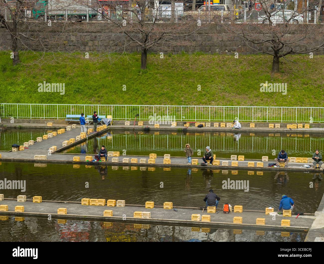 People fishing at the fishing point in Ichigaya Fish Center, Shinjuku ...