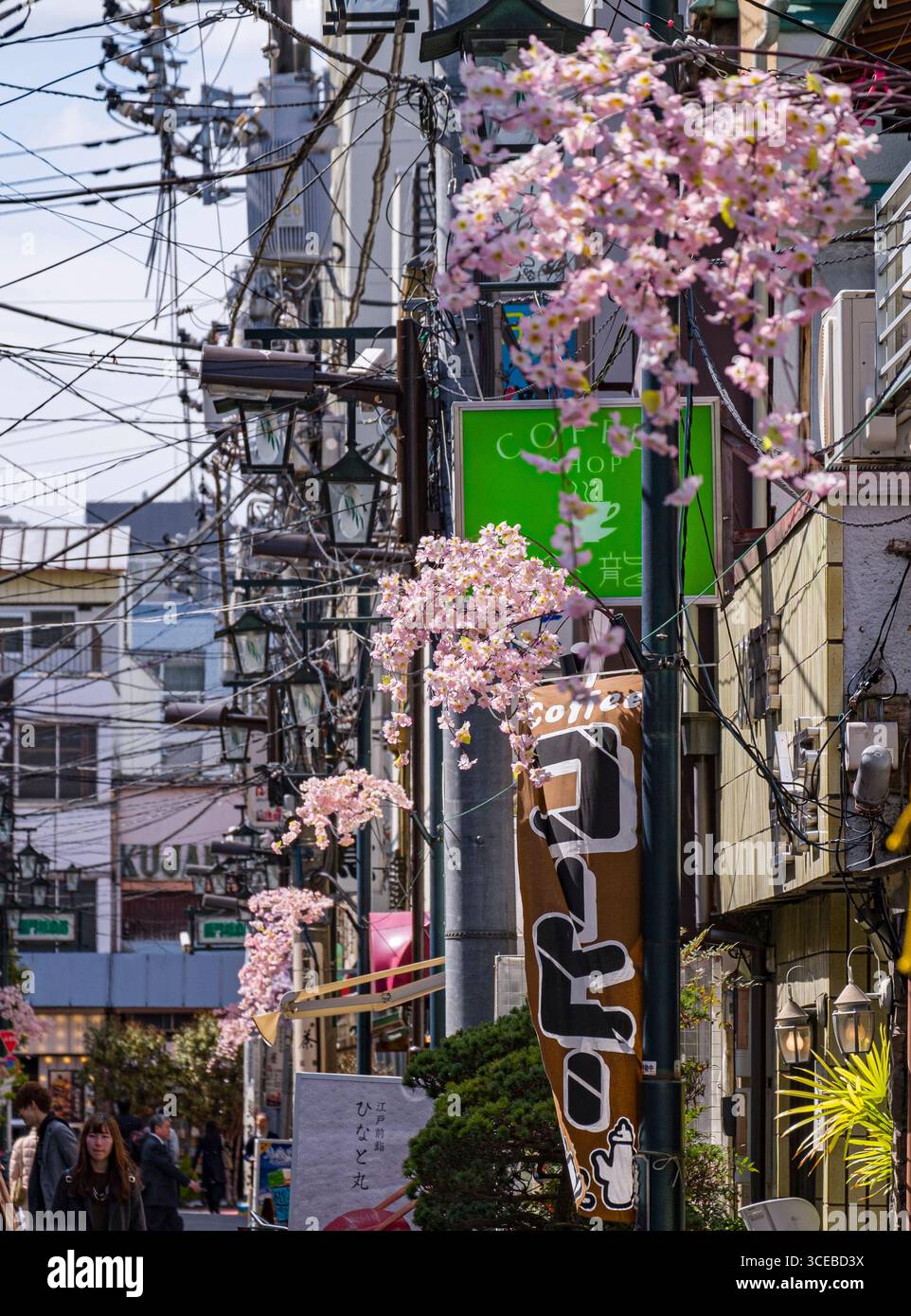 Plastic Cherry Blossoms decorations hanging over pedestrian shopping ...