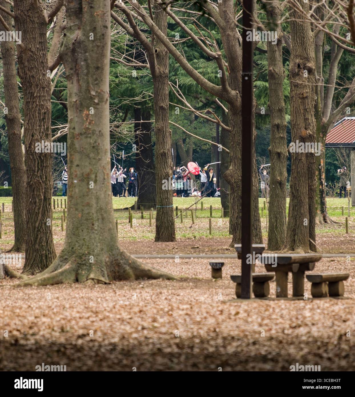 Group of Japanese people practicing choreographed sword fighting in ...