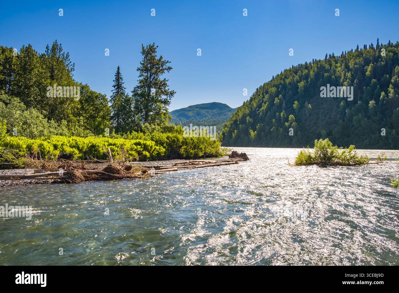 Indian River flowing into the Susitna River, Matanuska-Susitna, Alaska ...