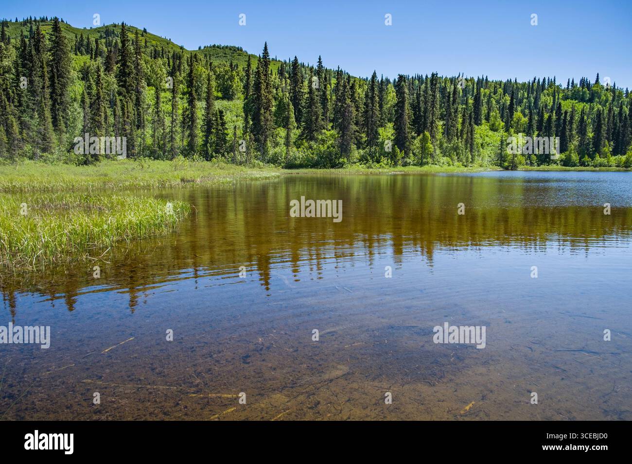 Matanuska lake hi-res stock photography and images - Alamy