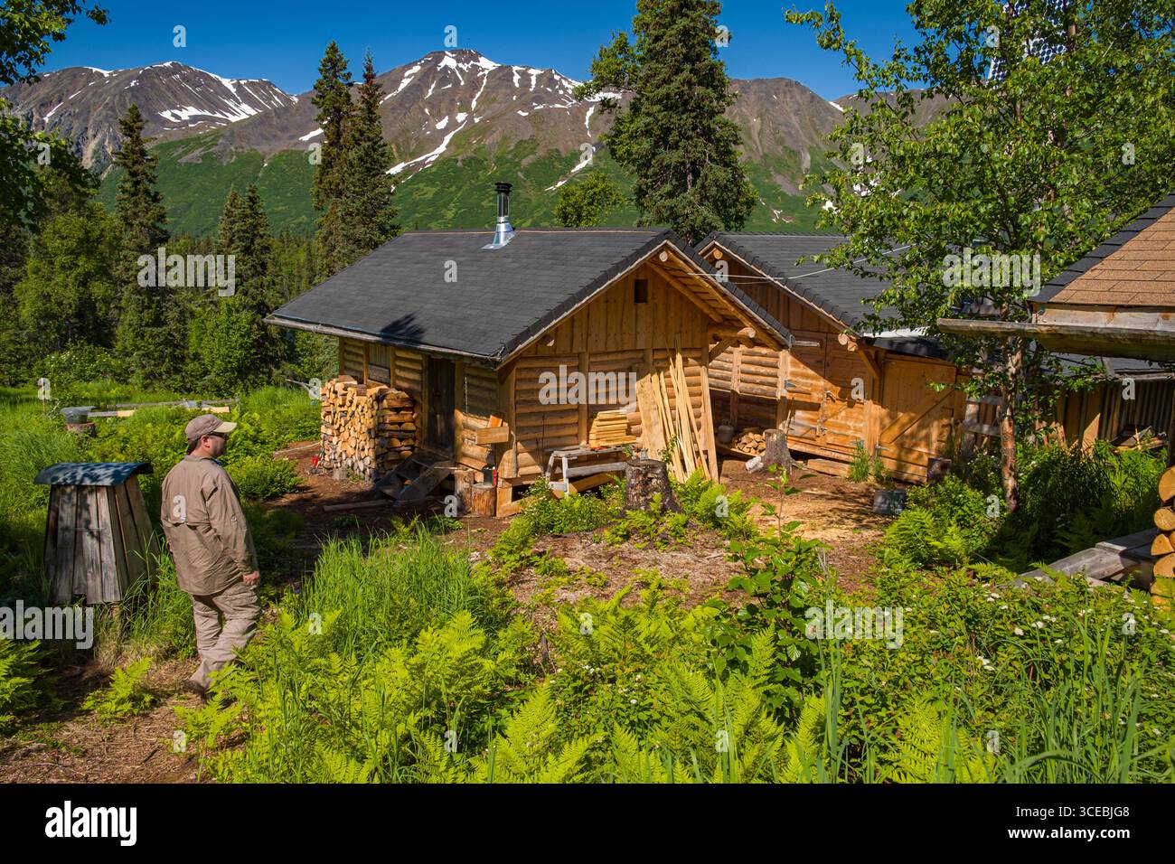 Remote Alaskan Log Cabin Crafted By Hand Using Local Timber Matanuska