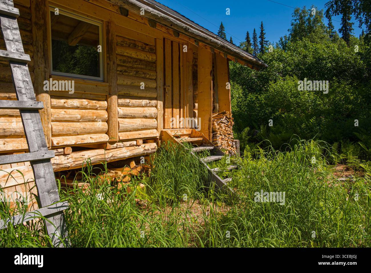 Remote Alaskan log cabin crafted by hand using local timber, Matanuska ...
