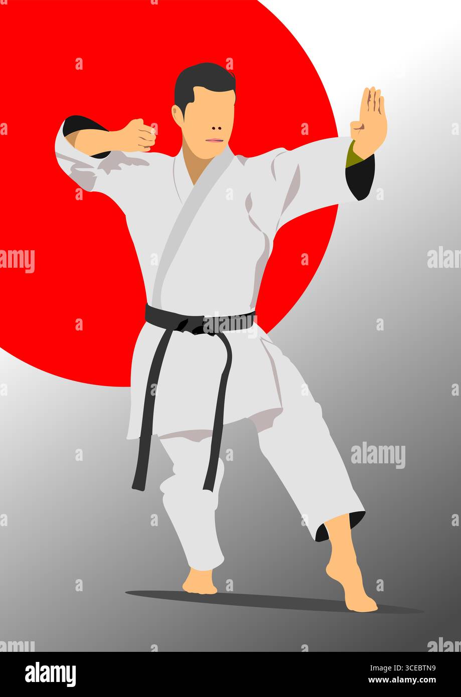Japan images. Oriental combat sports. Kung Fu. Colored 3d vector hand ...