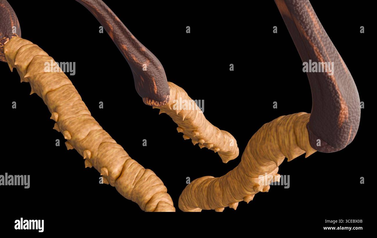A 3d rendering of cordyceps. A type of parasitic fungus that grows on ...