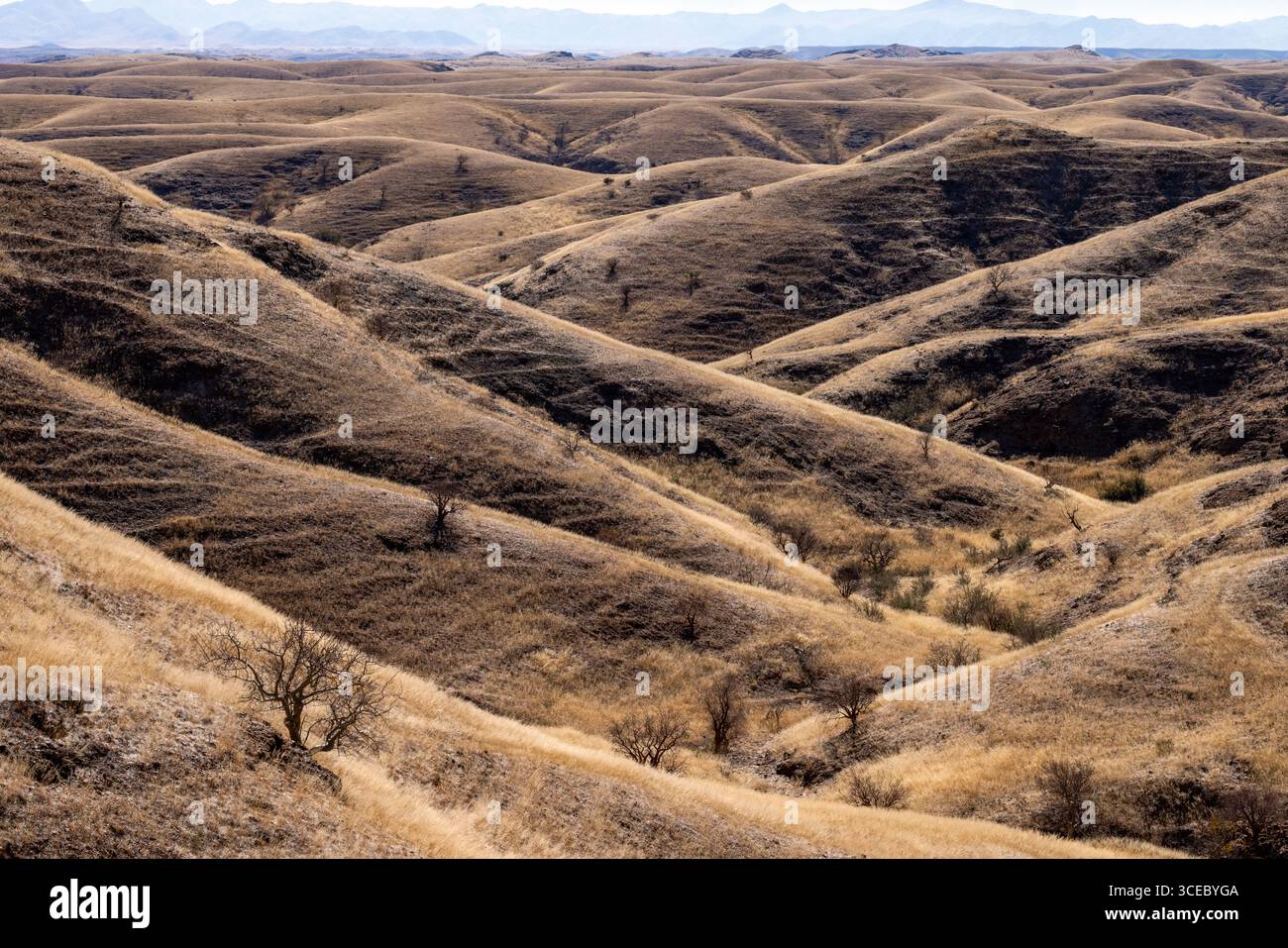 C14 hi-res stock photography and images - Alamy