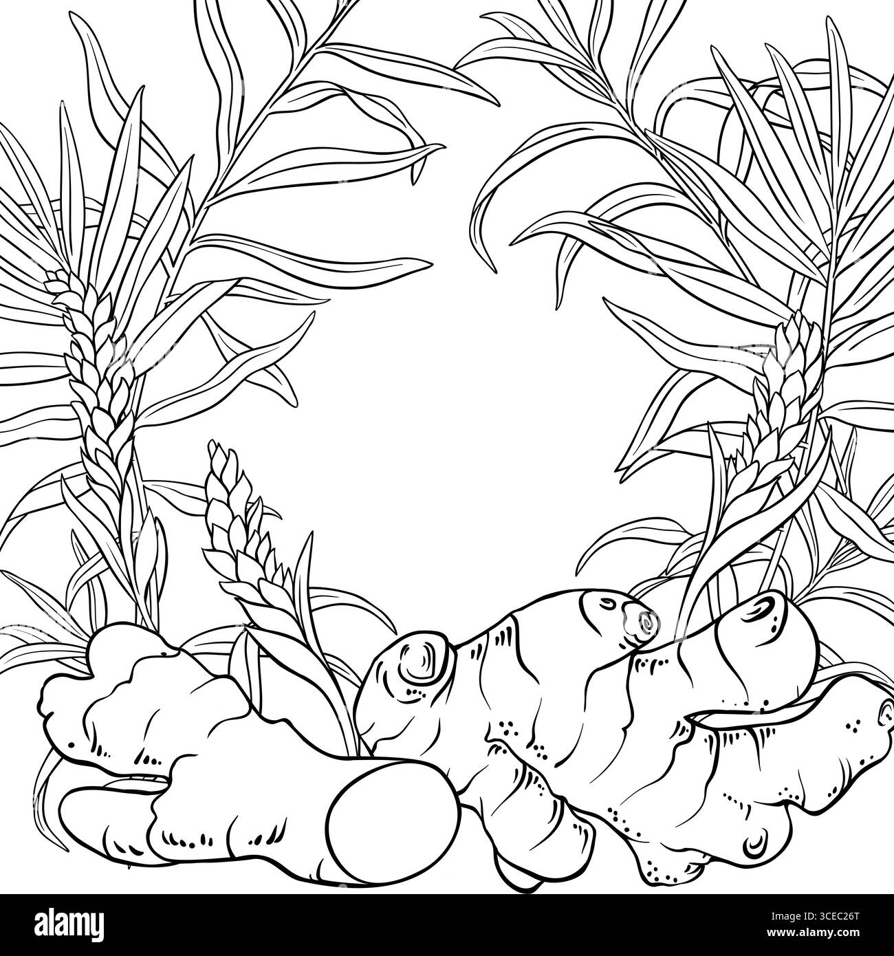 Hand drawn roots leaves hi-res stock photography and images - Alamy