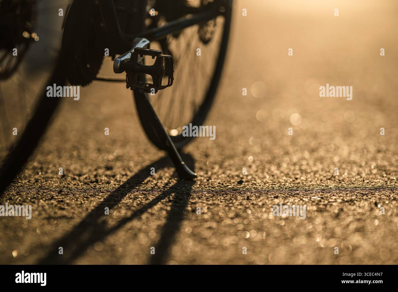 Long ride on bicycle hi-res stock photography and images - Alamy
