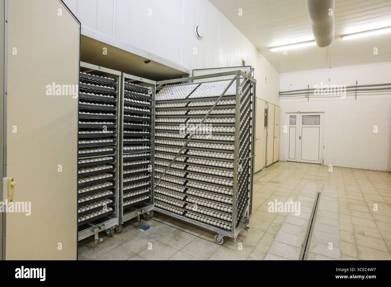 Modern packing, handling and transportation to incubators of high ...
