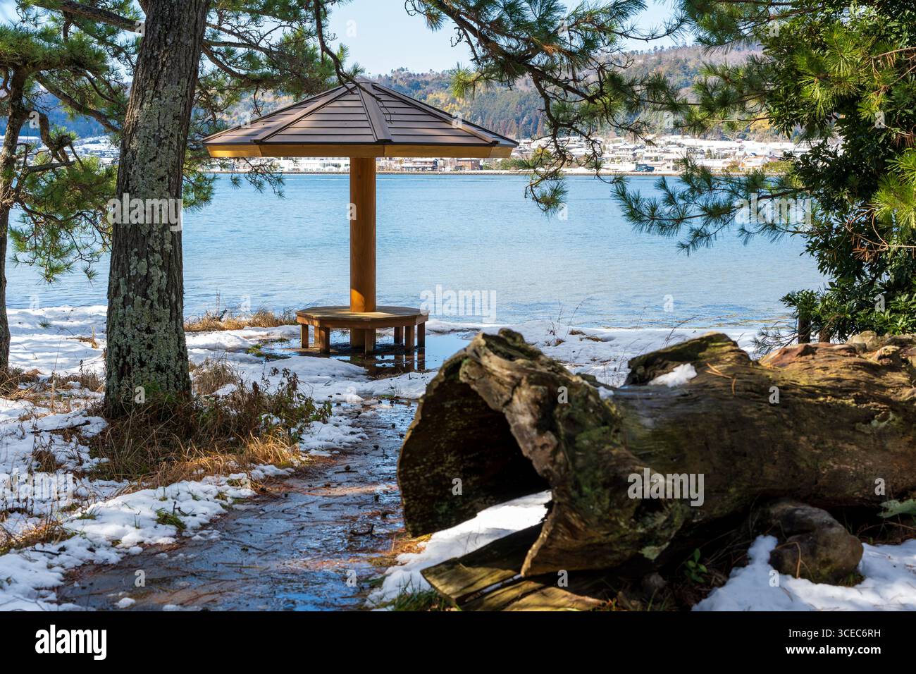 A traditional wooden rest pavilion nestled among the pine trees on the ...