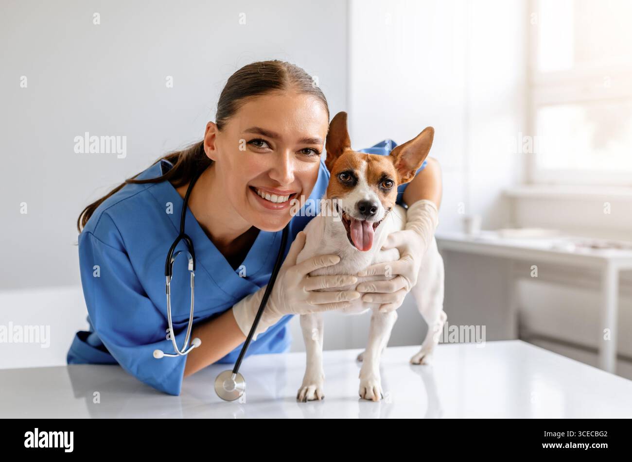 Female vet with happy dog Stock Photo - Alamy