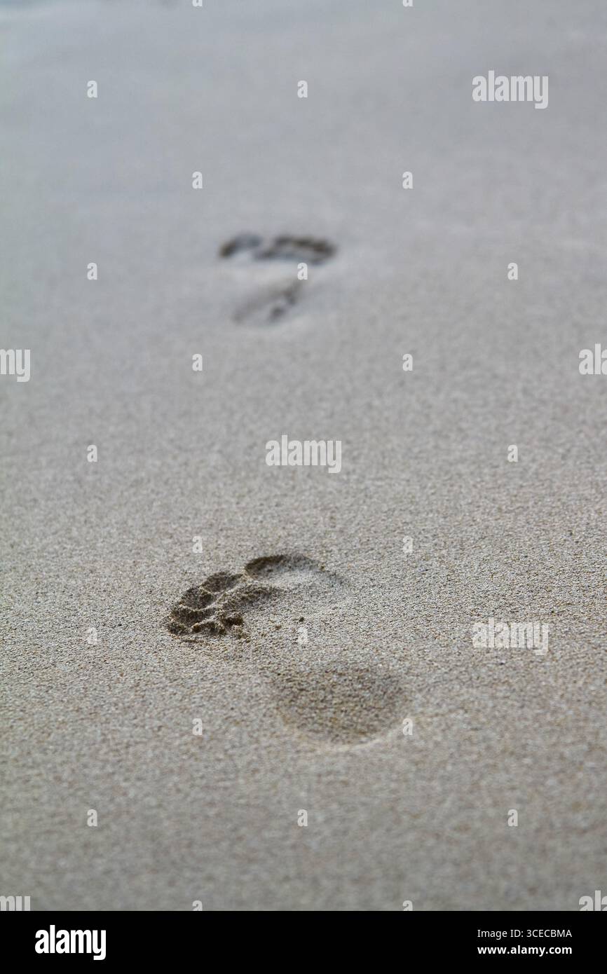 a footprint of a person's foot in the sand on the beach Stock Photo - Alamy
