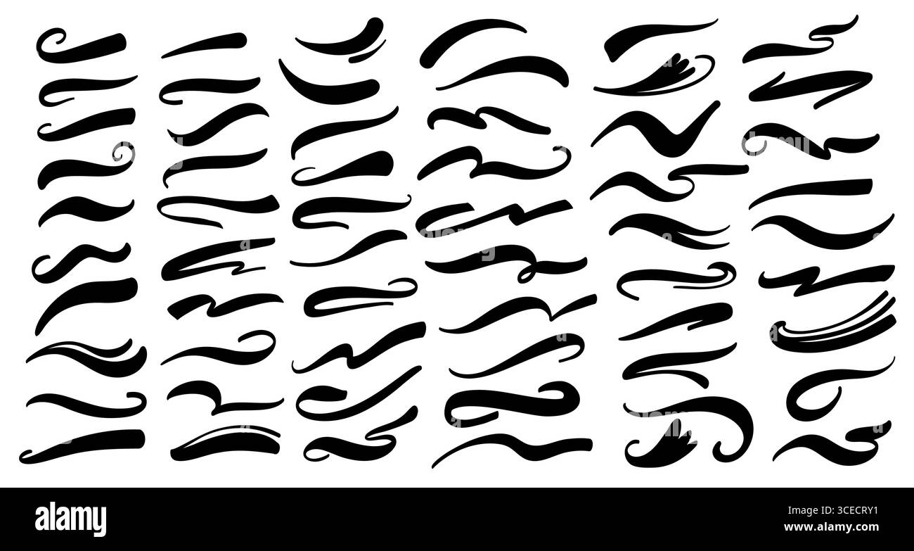 Calligraphic swoosh. Brush swash curves and swirls decorative elements ...