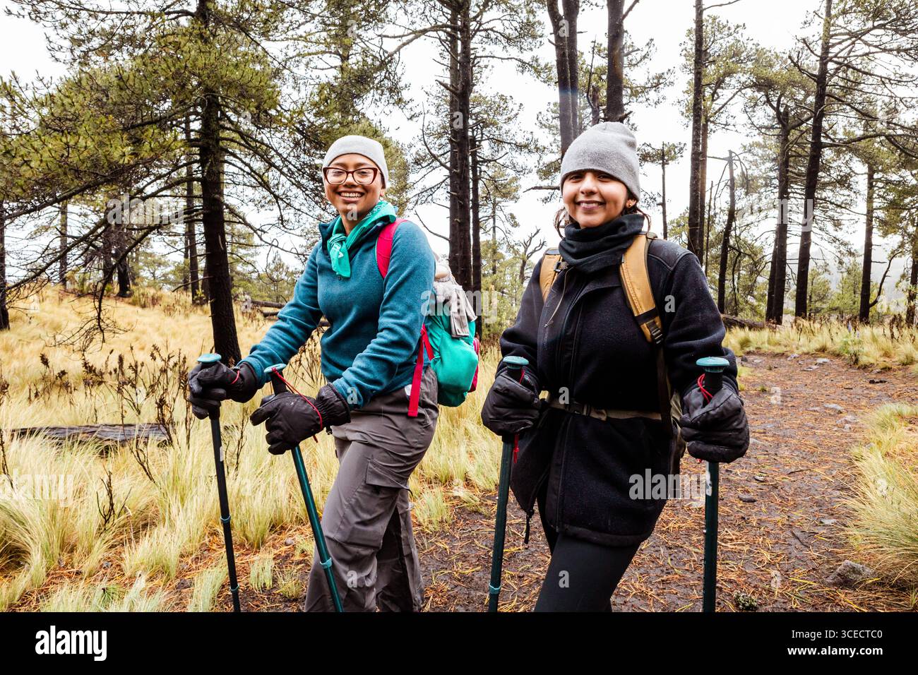 Determined, gear-equipped hikers traverse a wet and misty forest trail ...