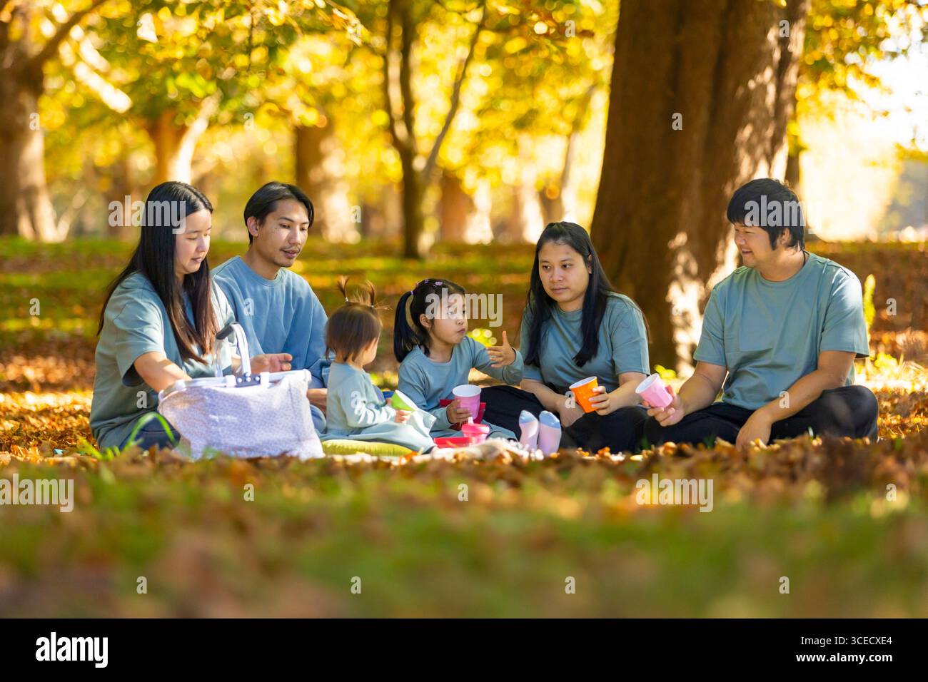 Joyful family gathers picnic hi-res stock photography and images - Alamy