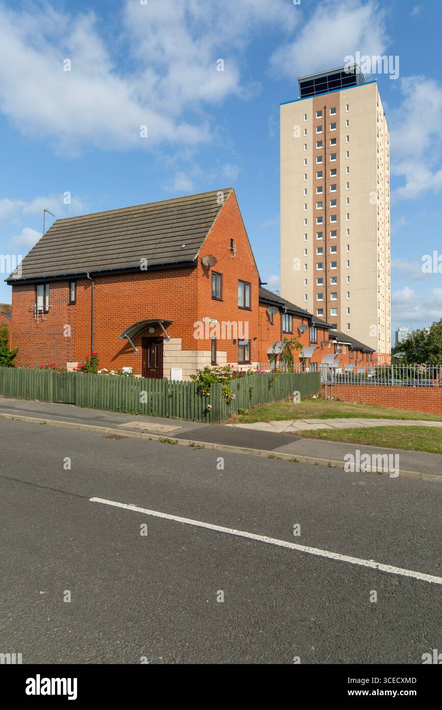 Low lambton hi-res stock photography and images - Alamy