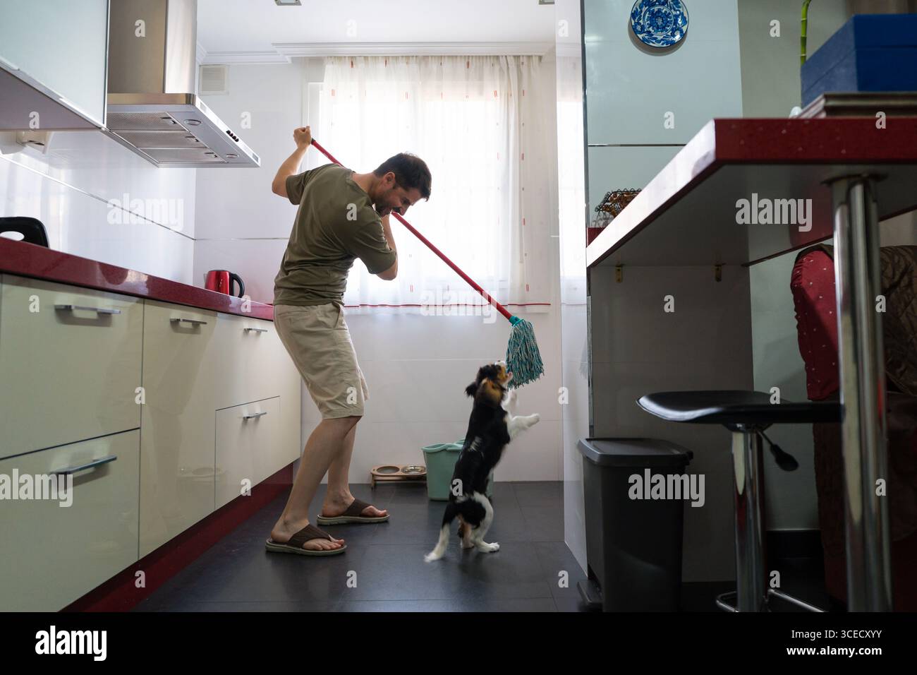 A man mops the floor in a modern kitchen, engaging with a playful dog ...