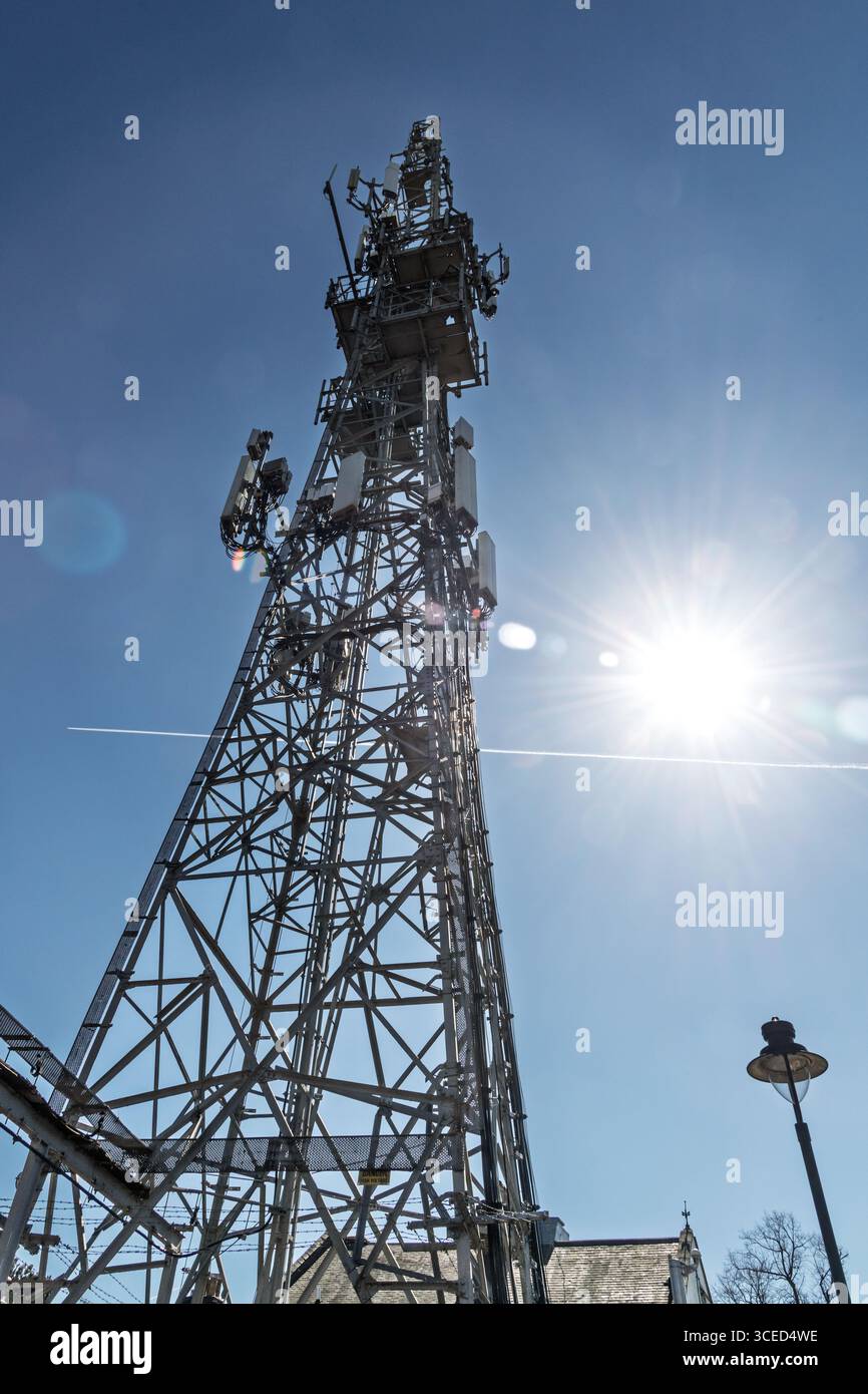 Cellphone communications tower, Highgate, London Stock Photo - Alamy