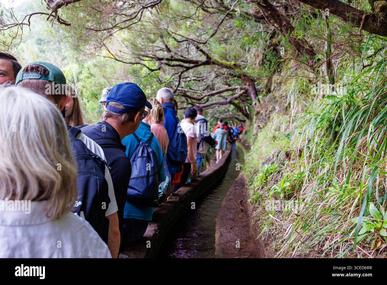 Madeira, Portugal - July 09, 2025; A queue of tourists along the ...